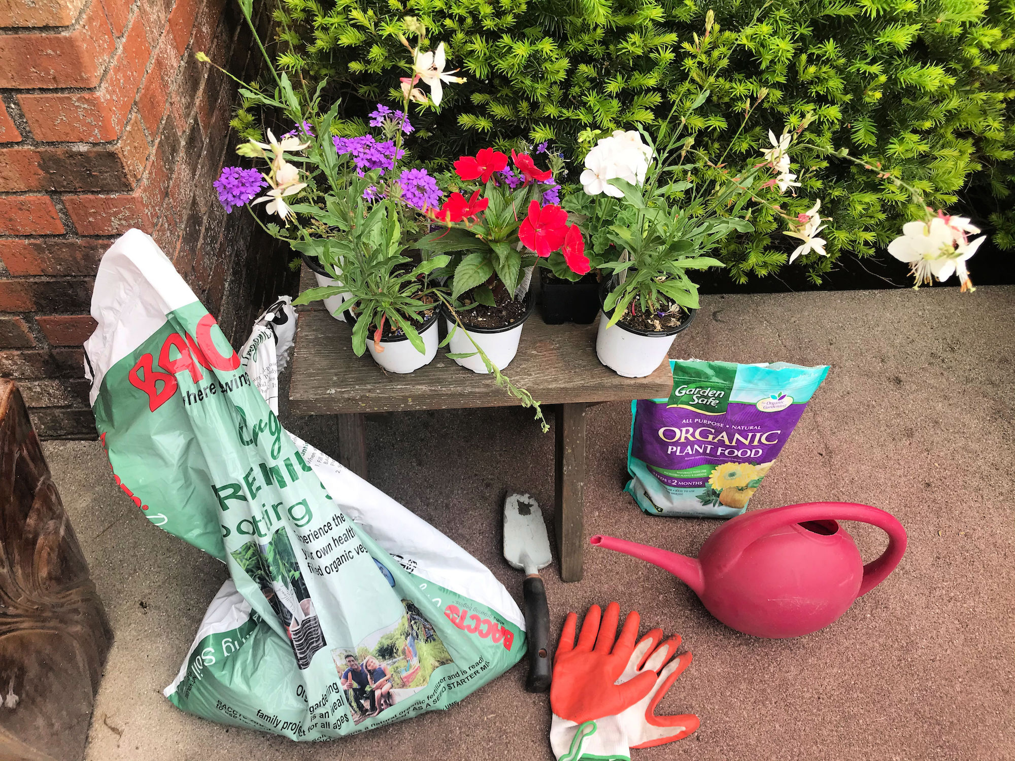 Simple and Pretty Patio Flowerpots - Sunny Side Up Living Blog